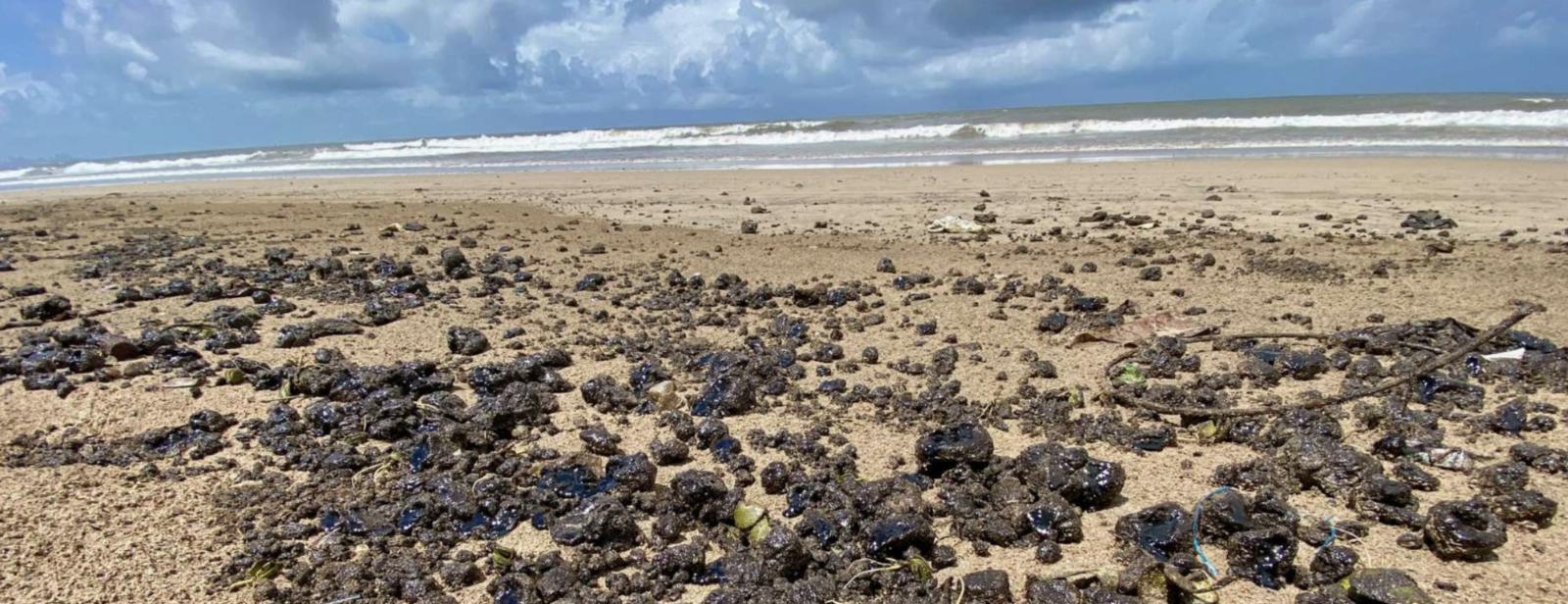 Tarballs Dot India’s West Coast. Here’s What They Indicate – The Wire ...