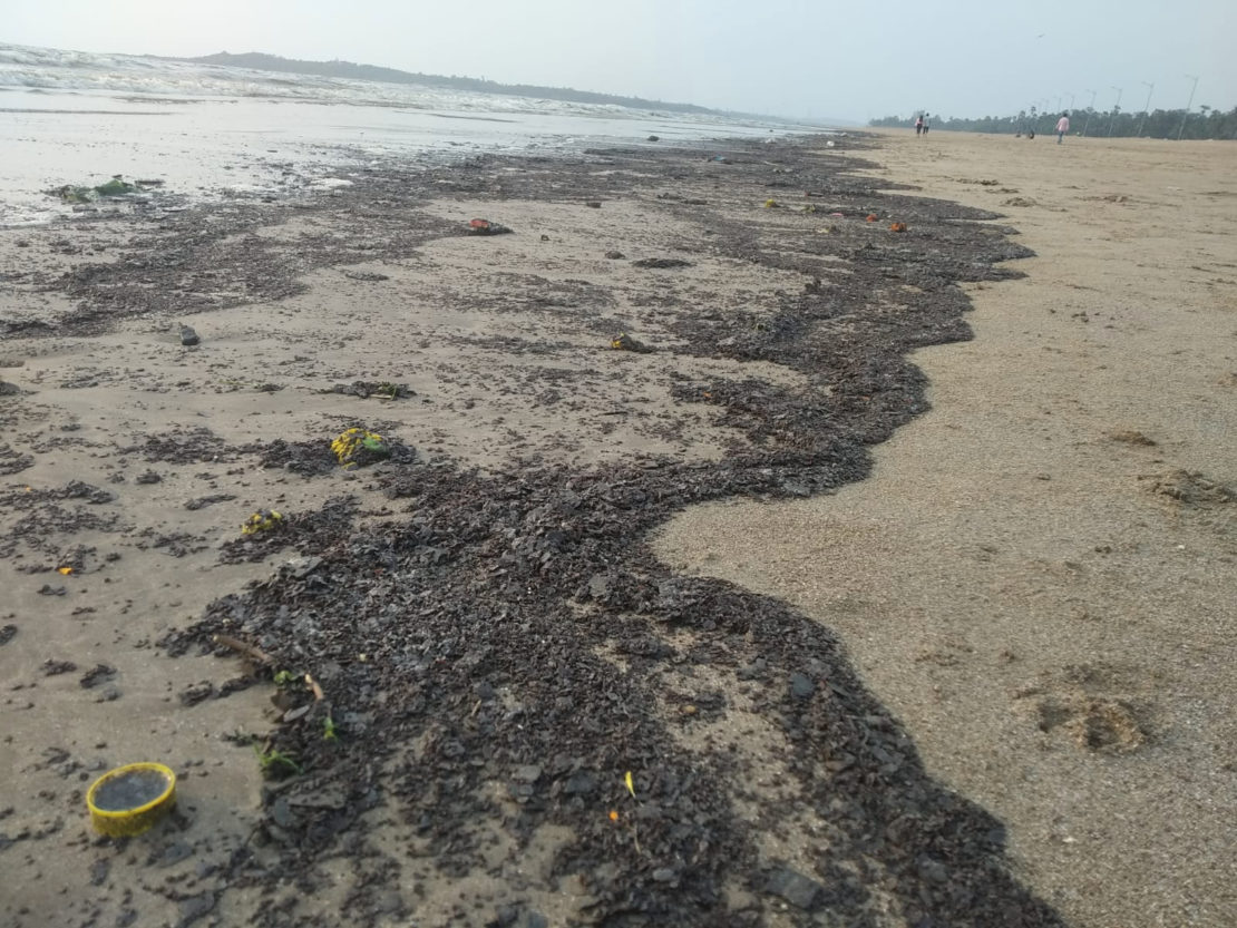 Tarballs Dot India’s West Coast. Here’s What They Indicate – The Wire ...