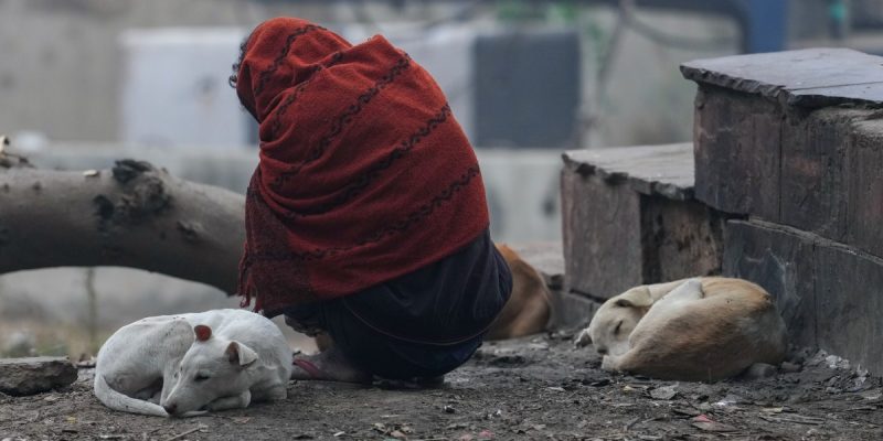 Cold Wave Conditions Return to Delhi, Parts of North India