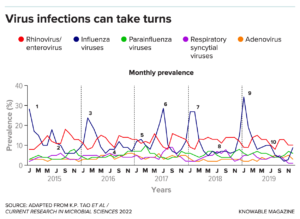COVID, RSV and the Flu: A Case of Viral Interference? – The Wire Science