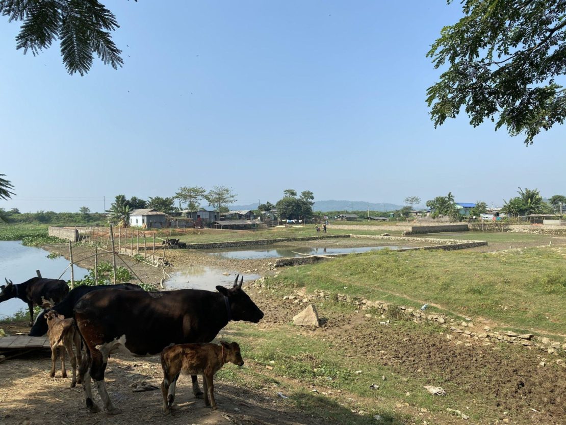 Stories from a Discarded Landfill Site in Guwahati – The Wire Science
