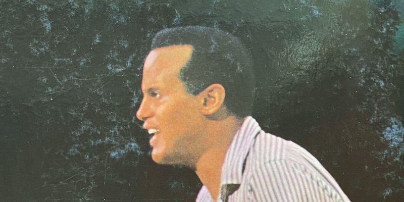 Harry Look A Boo Boo