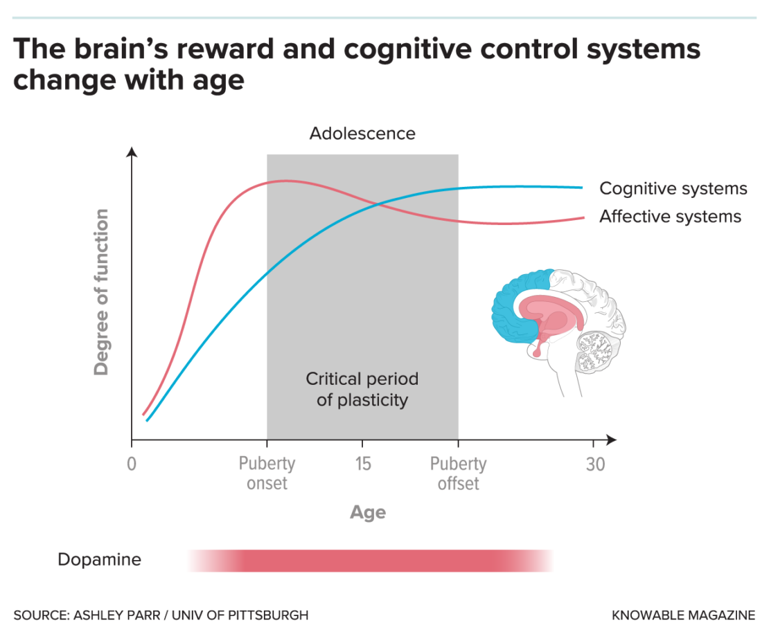 Teens Can Have Excellent Executive Function — Just Not All the Time ...