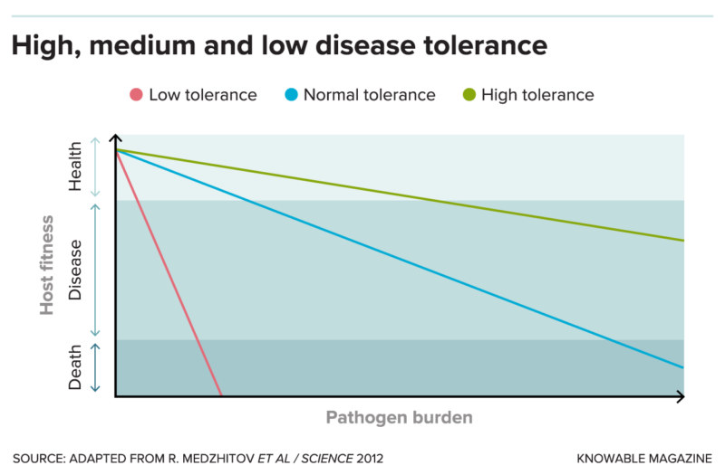 What if We Tolerated Diseases? – The Wire Science