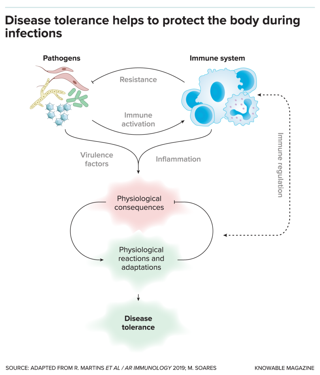 What if We Tolerated Diseases? – The Wire Science