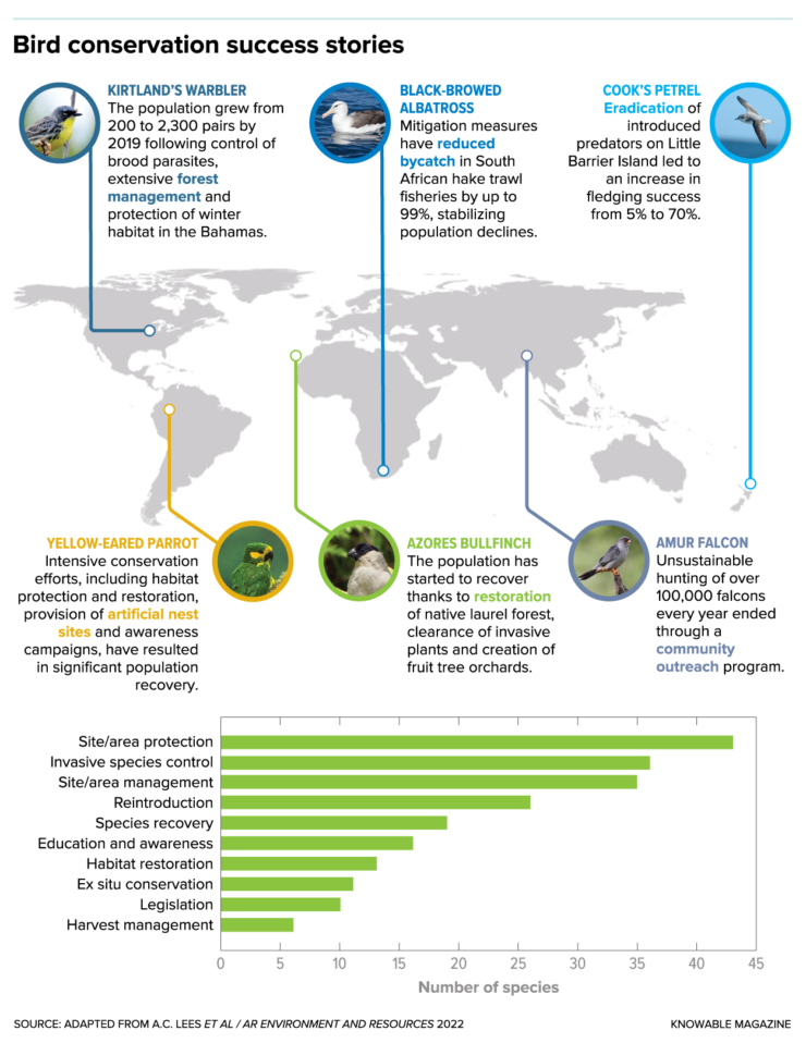 A Shocking Number of Birds Are in Trouble – The Wire Science