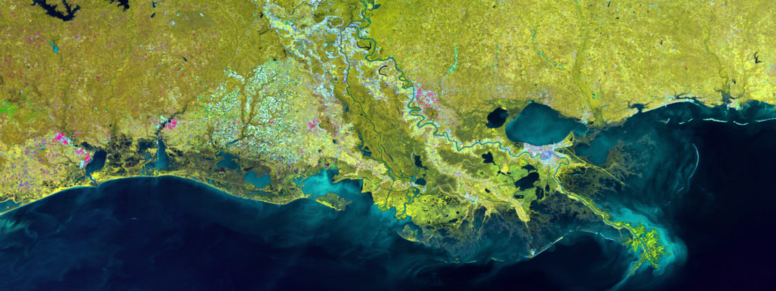 Is This ‘Age of the Delta’ Coming to an End? – The Wire Science
