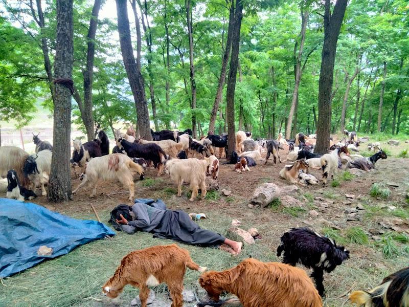 The Wire: The Wire News India, Latest News,News from India, Politics ...