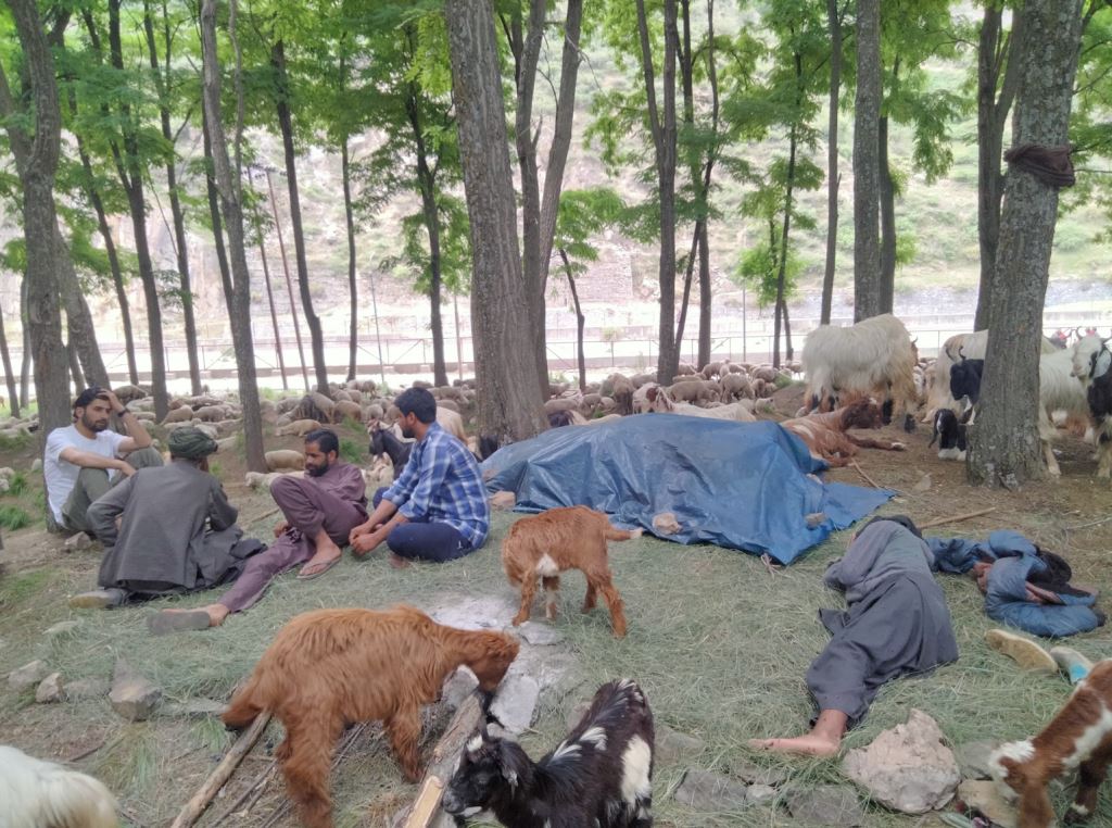 The Wire: The Wire News India, Latest News,News from India, Politics ...