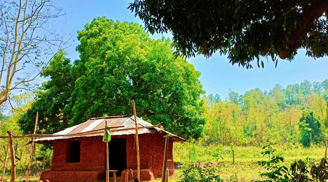 Once a Maoist Hotbed, Bengal's Jungle Mahal Is Now Battling Hunger and ...