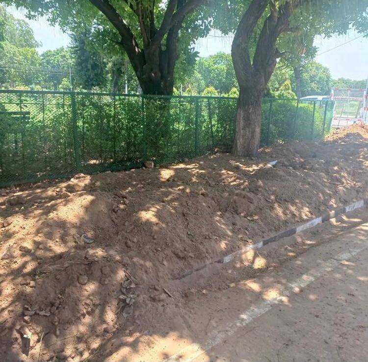 Panjab University's 10-Metre-Long Unpaved Pavement and the Politics of ...