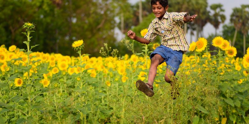 How the Dravidian Model of Development Succeeded in Tamil Nadu