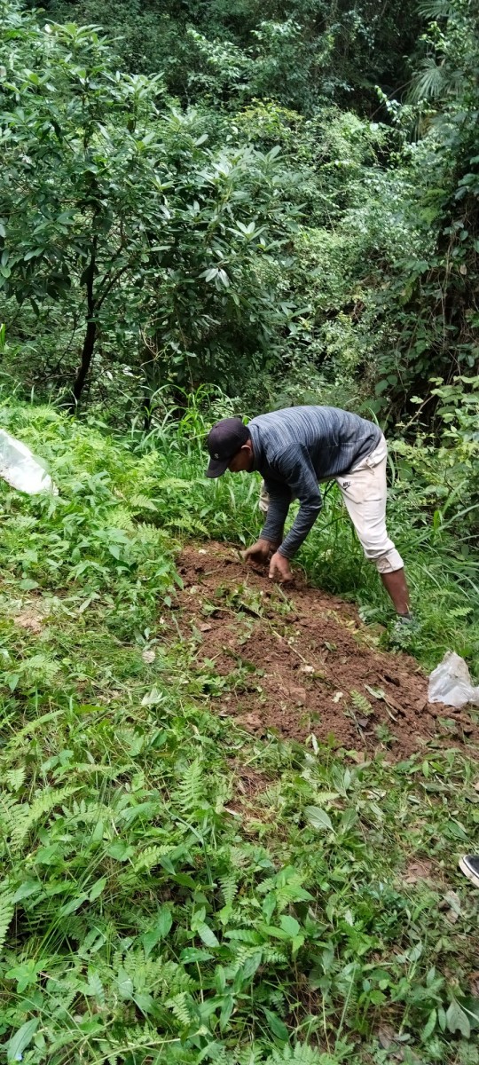 Archaeology of a Disaster in Shiv Baodi, Summerhill: A Photo-Chronicle