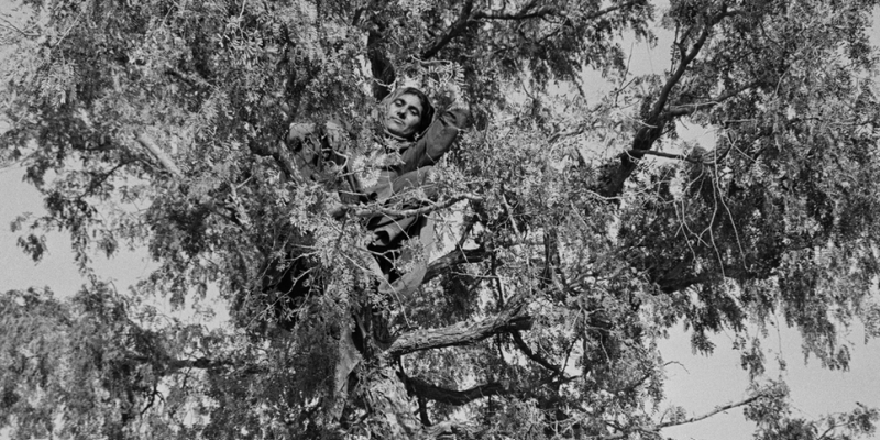 Photographer Gauri Gill Wins the 10th Prix Pictet Award