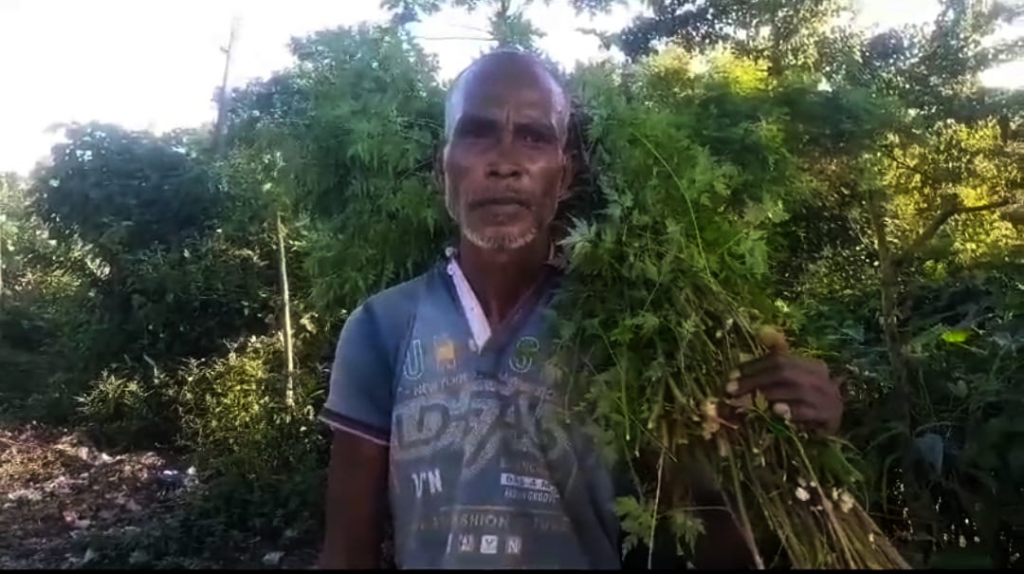 Why the Asur Community in Bengal Mourns During Durga Puja