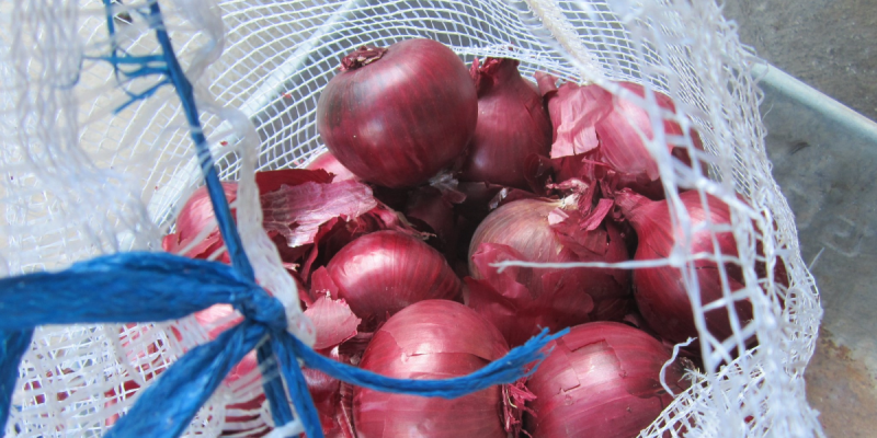 Onion Prices Could Dip Below Rs 40/kg By January, Food Ministry ...