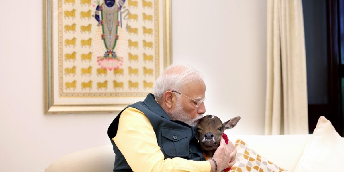 The Wire: The Wire News India, Latest News,News from India, Politics ...