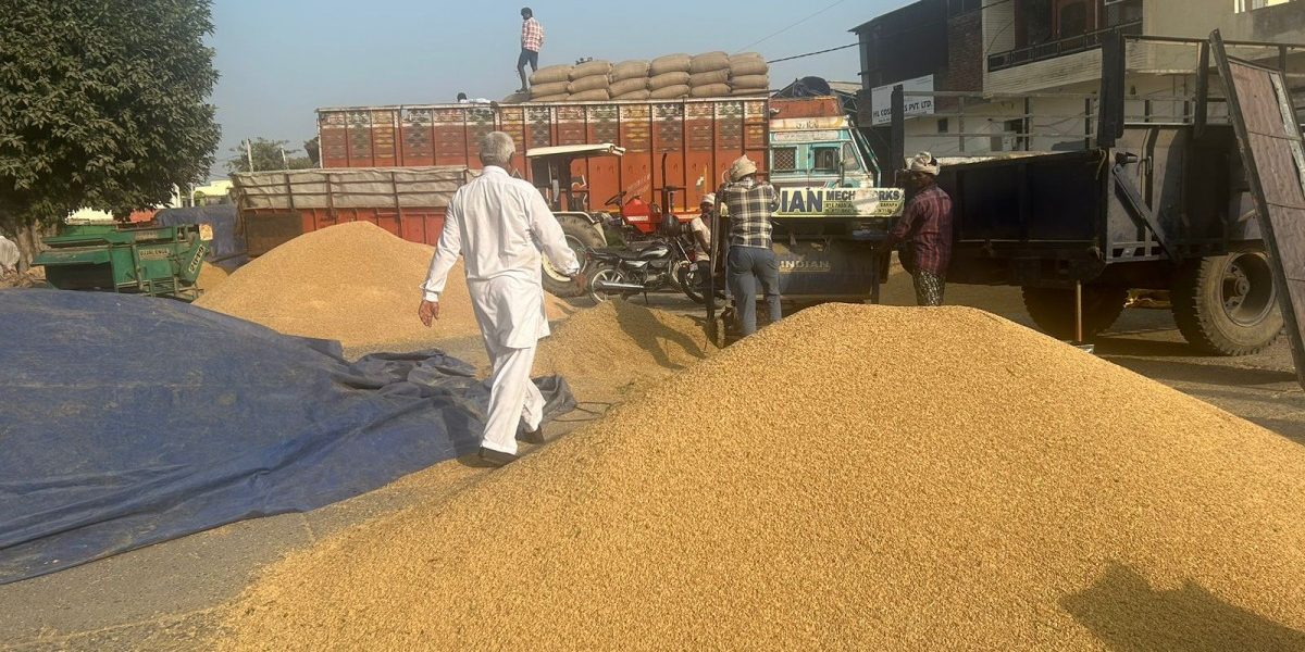 Close Contest in Haryana’s Ladwa As Unemployment, Farmers’ Distress ...